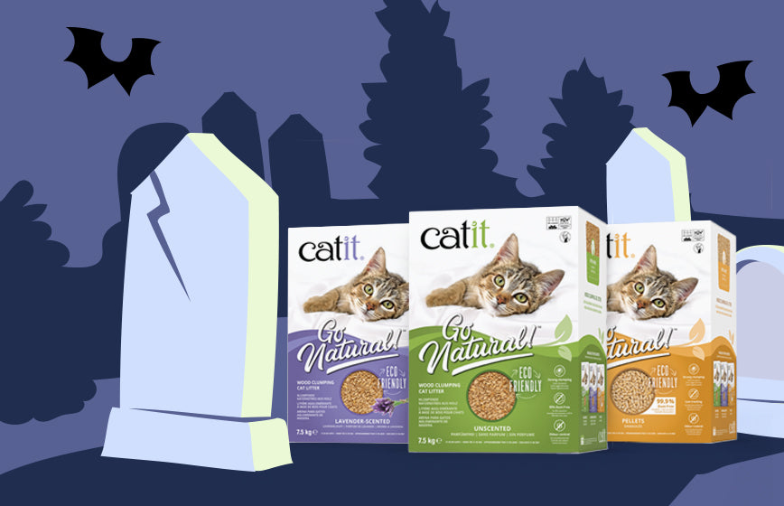 Catit ES - La tienda oficial de Catit: tus gatos merecen calidad ...